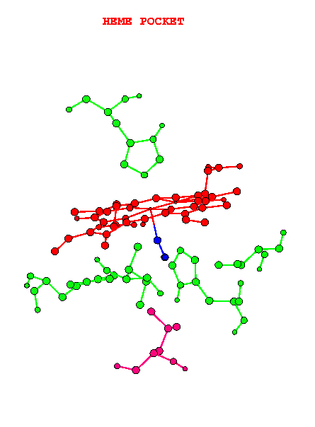 Fig.2 - The heme prosthetic group.